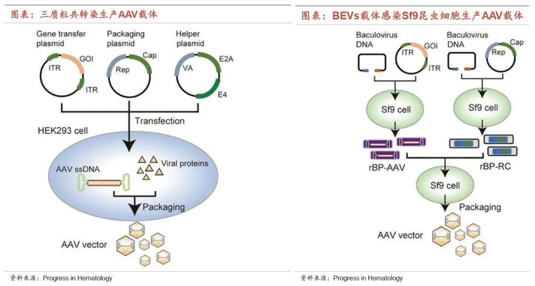 先进 AAV 生产系统助力全球史上最新重磅基因药物获批上市 - 北京五加和基因科技有限公司